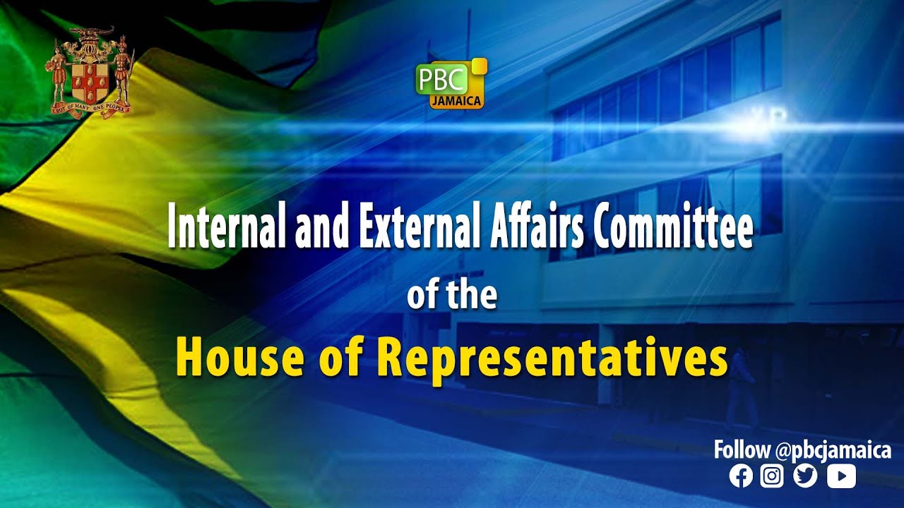 Internal and External Affairs Committee of the House of Representatives ...