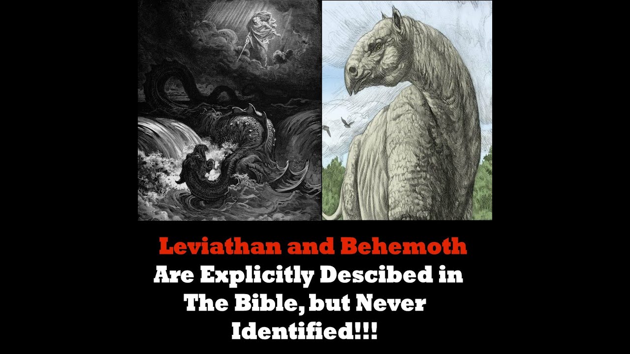 Leviathan & Behemoth In The Bible -Dinosaurs Possibly? - YouTube