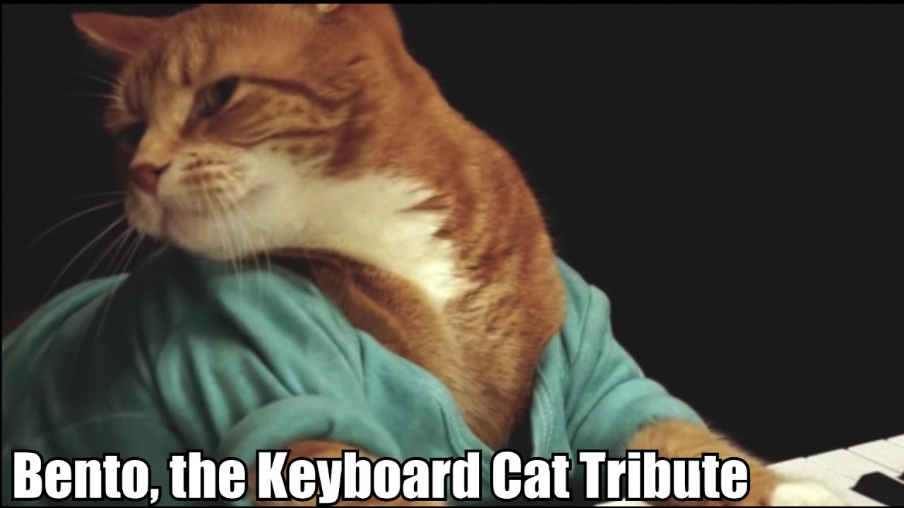 Keyboard Cat Tribute, Rest In Piece Bento. - YouTube