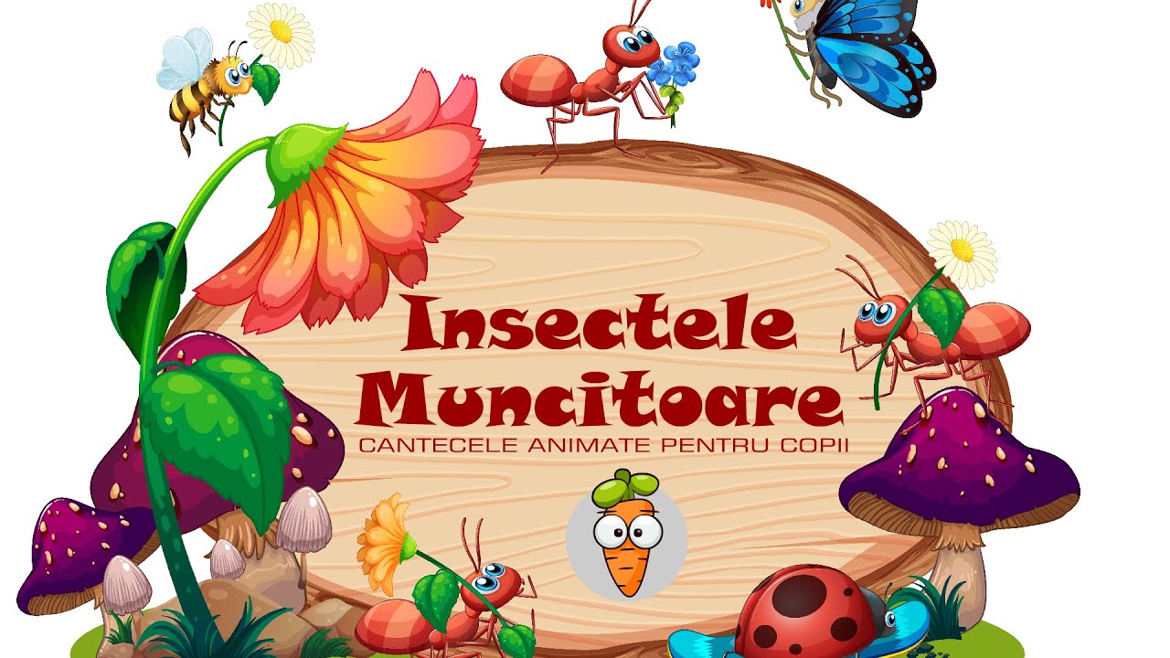 Insectele Muncitoare | Cantece pentru Copii | Desene Animate - YouTube
