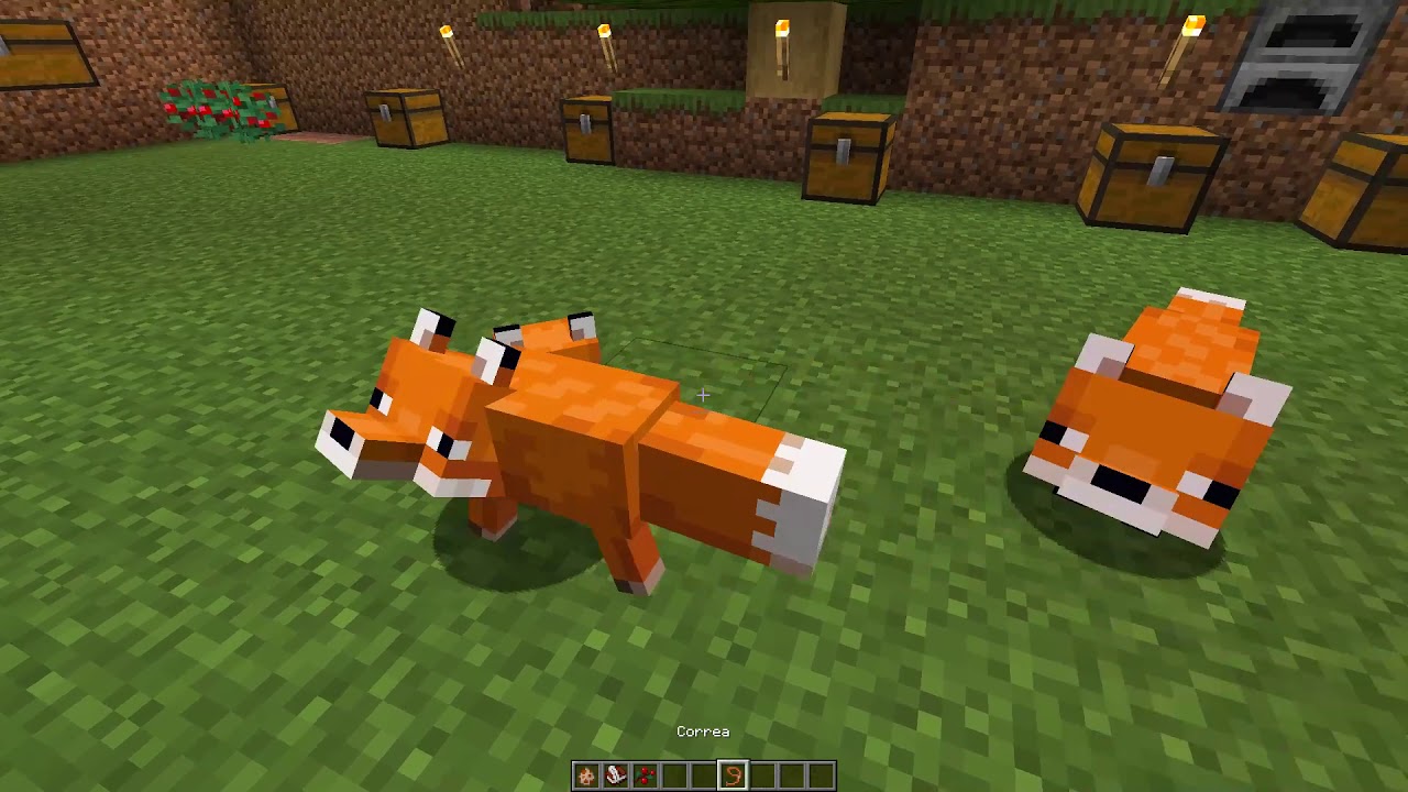 MINECRAFT 1.14 COMO REPRODUCIR ZORROS - YouTube
