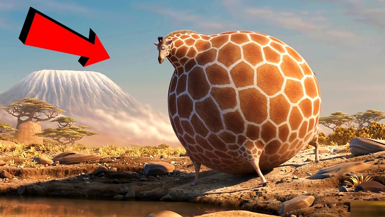 दुनिया के सबसे मोटे जानवर ,जिन्हें देखने के लिए नसीब लगता है, | 10 Fat ...