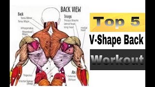V Shape Workout