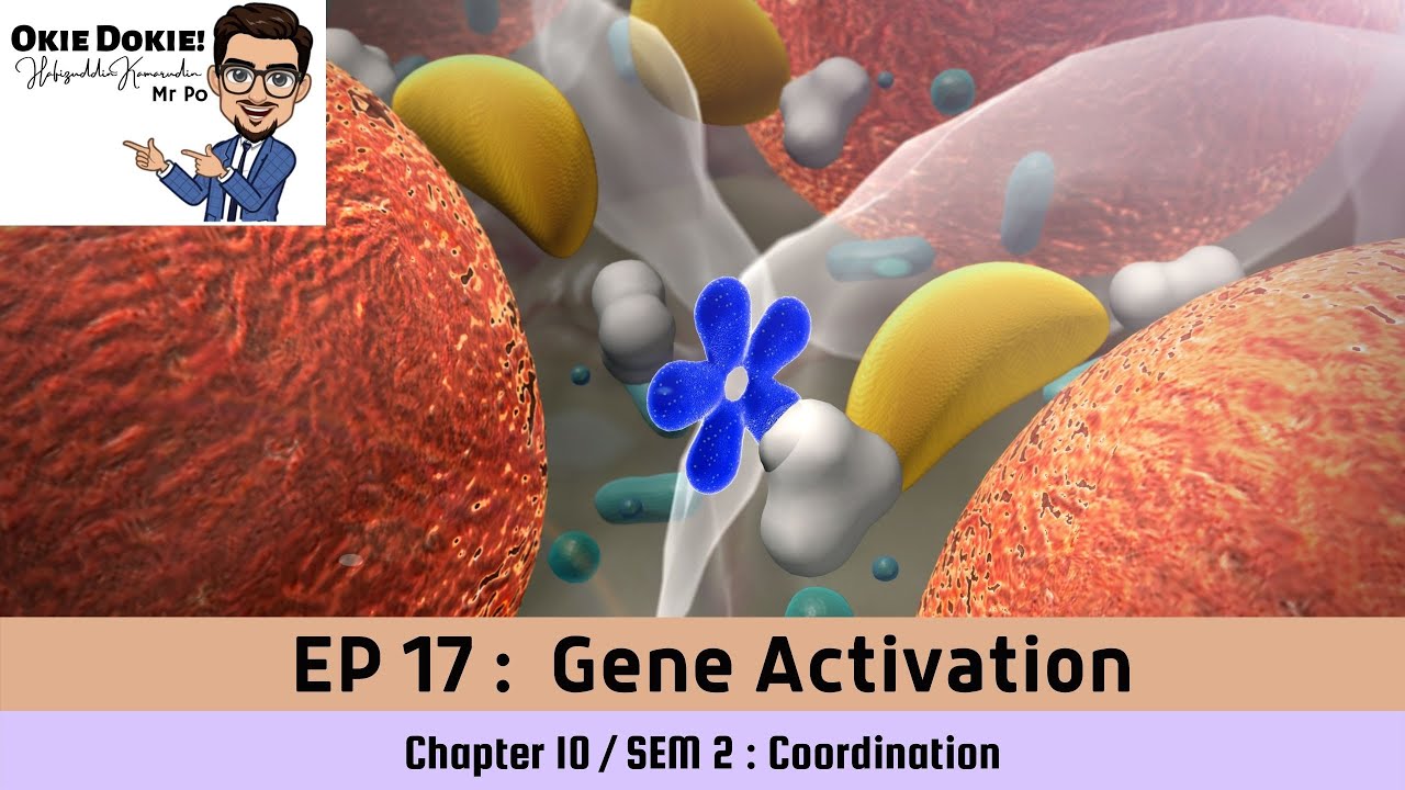 Chapter 10 EP 17 / Sem 2 : Gene Activation (Matriculation Biology ...