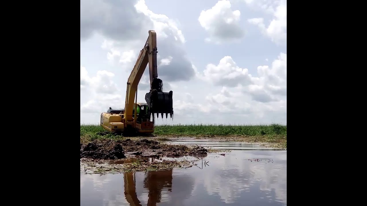 clearing the swamp forest with excavator - YouTube