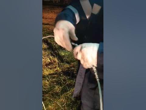 Провода крутятся - лавэха мутится - YouTube