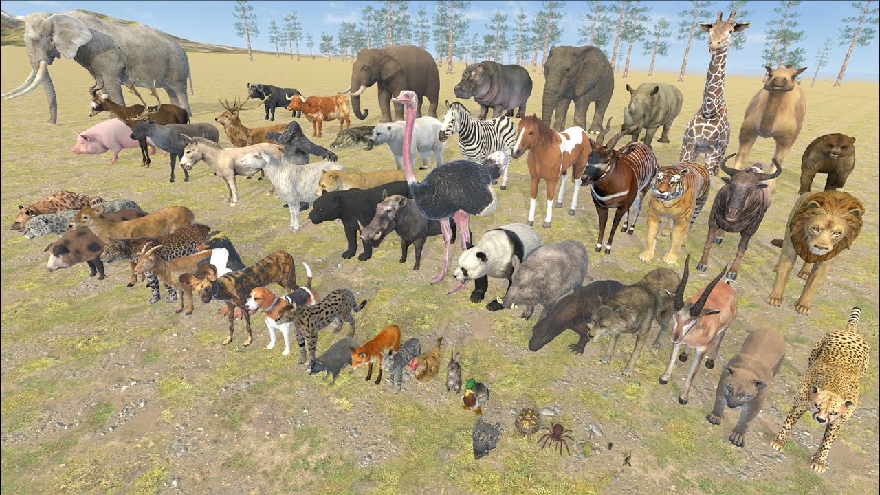 Land Animal Weight Comparison in 3D Animation | Realistic World Data - YouTube