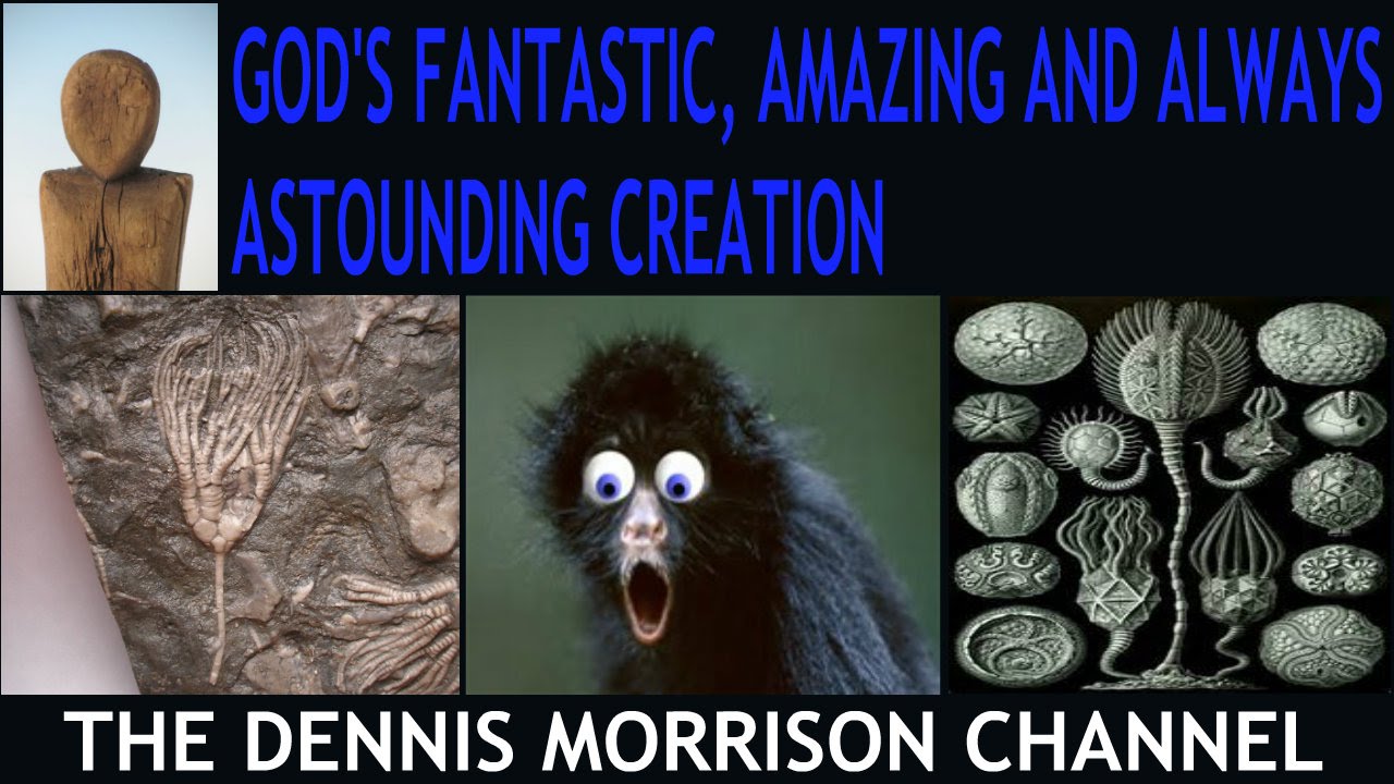 GOD'S FANTASTIC, AMAZING AND ALWAYS ASTOUNDING GREATION: THE MOLLUSKS ...