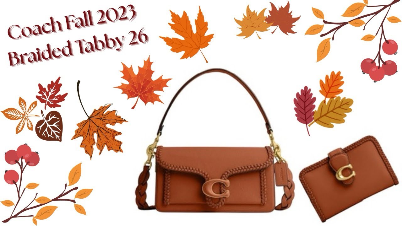 Coach Fall 2023 Purse #Coach #CoachFallCollection #CoachOutlet # ...