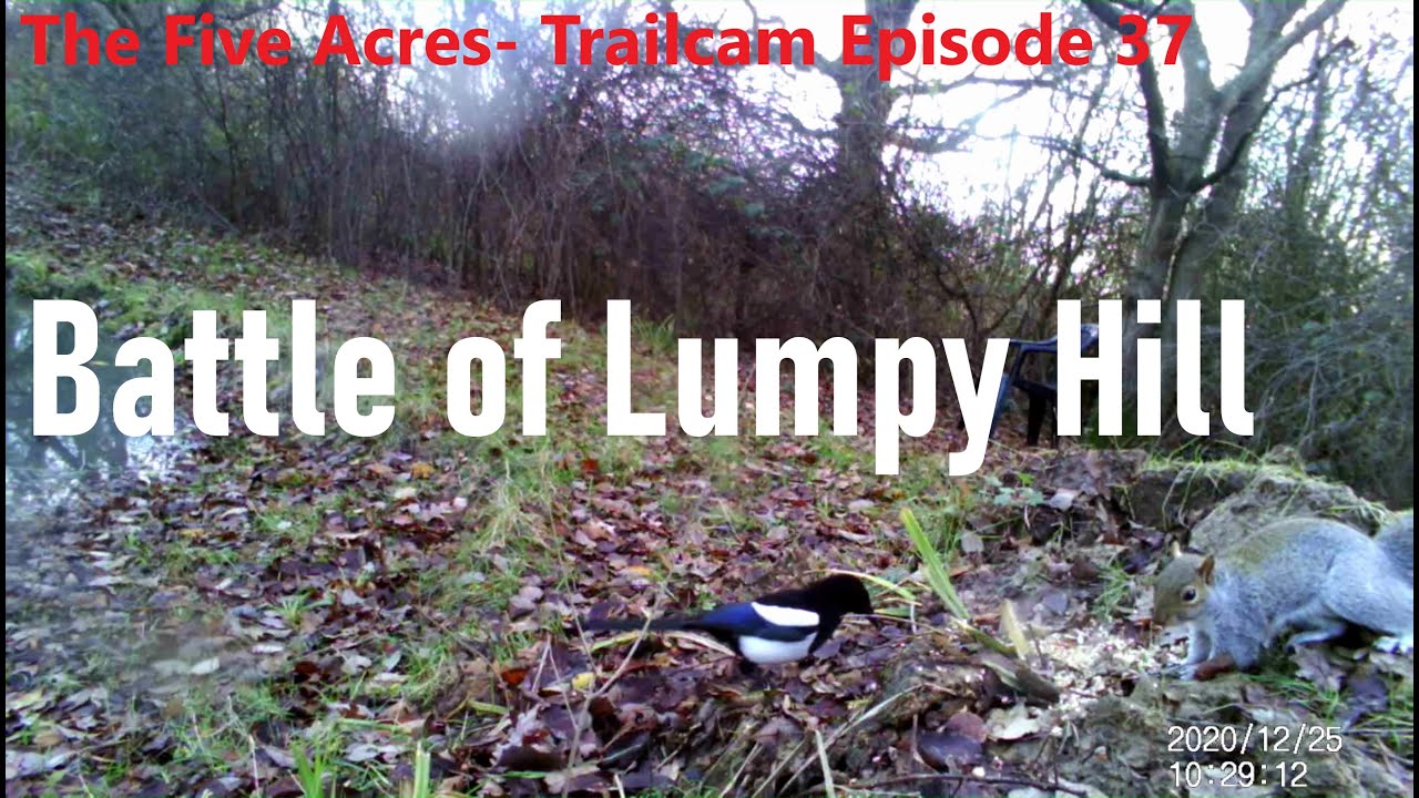 Battle of Lumpy Hill - Trailcam Episode 37 - YouTube
