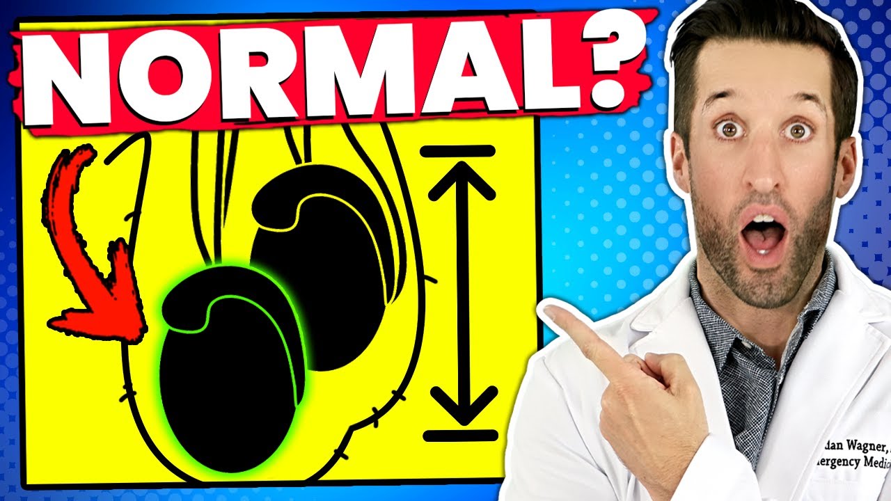 ER Doctor REACTS to Your *MOST EMBARRASSING* Medical Questions From ...