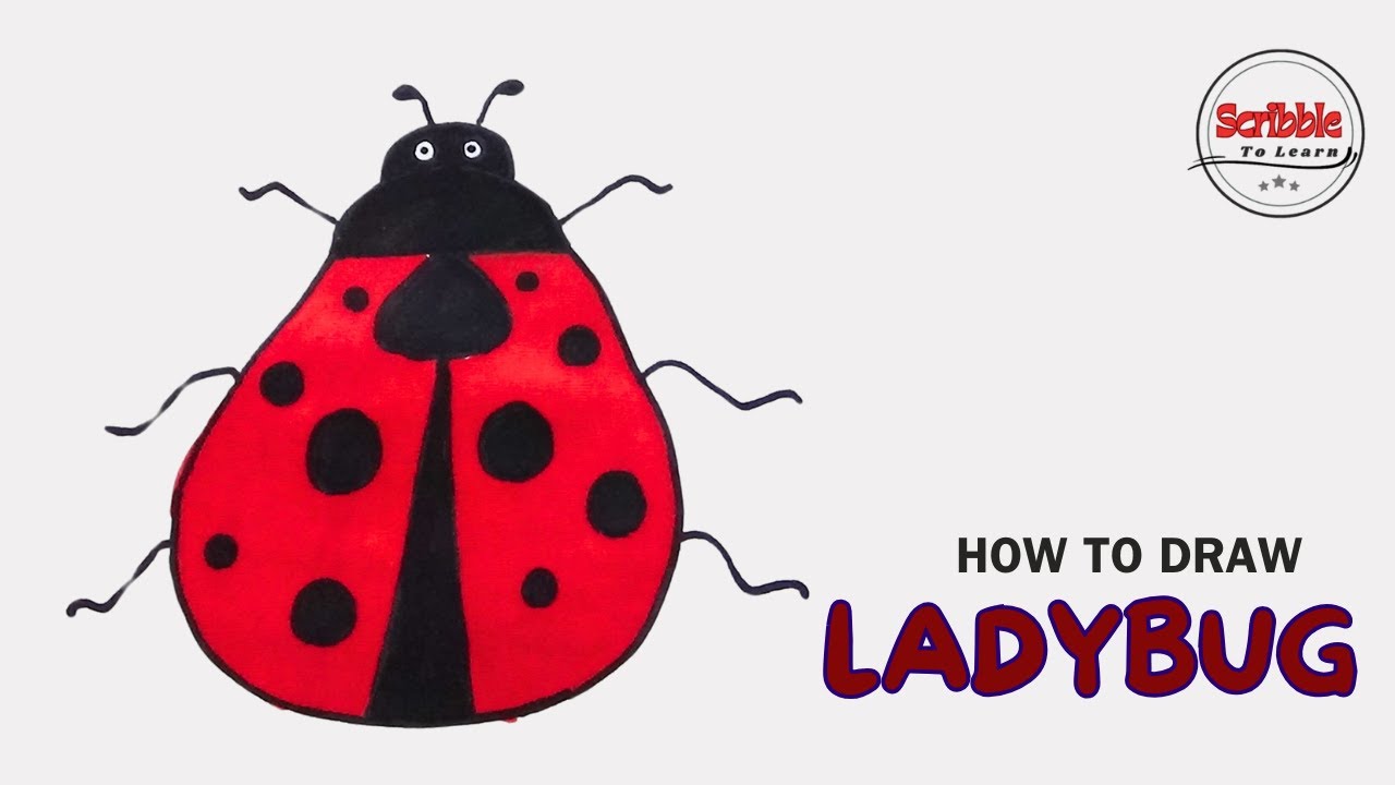How to Draw Ladybug Easy|| Drawing and Colouring Ladybug for Kids - YouTube