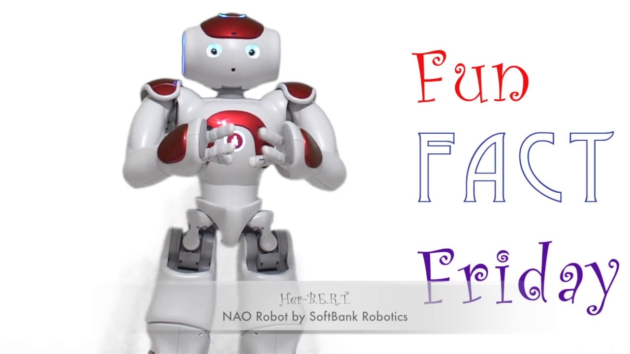 Fun Fact Friday: Ep.1 Human Brain - YouTube