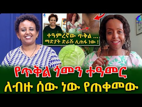 ማድያት ድራሹ ጠፋ! ተምረኛው ጥቅል ሜሪካም ታዋቂ ሆኗል! ለኮሊስትሮልም መላ ተገኝቷል !ኤልሳ ቢውቲ ...