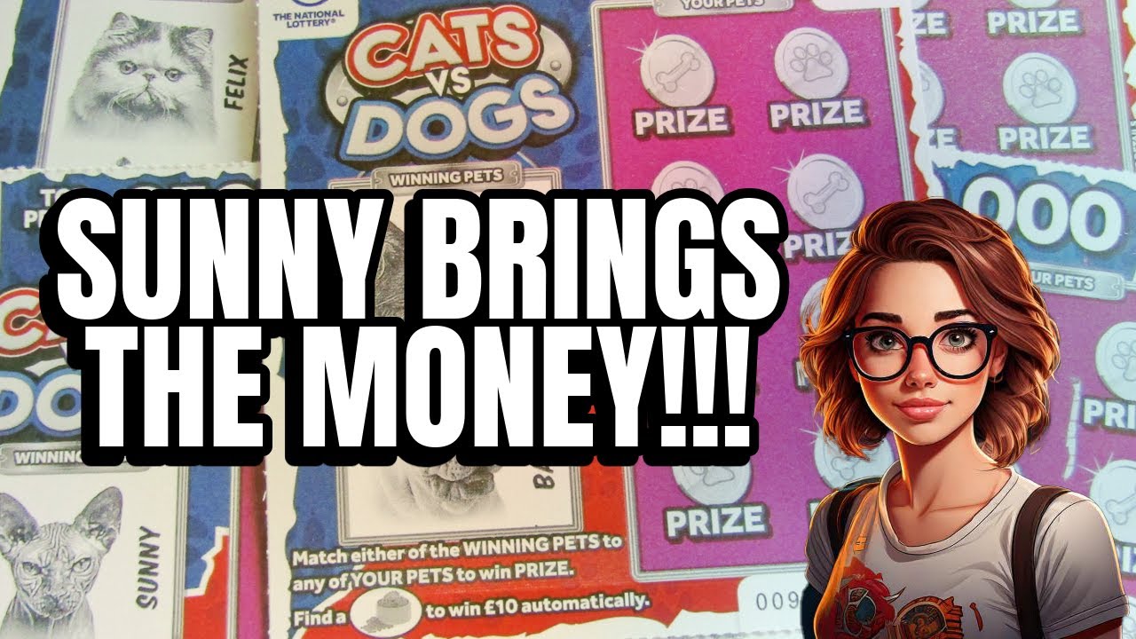 SUNNY BRINGS THE MONEY - CATS VS DOGS SCRATCH CARD - YouTube