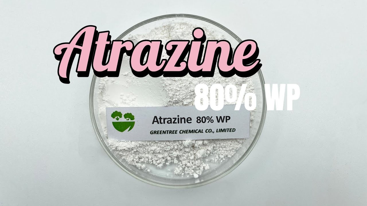 Atrazine 80%WP CAS1912-24-9 herbicide - YouTube