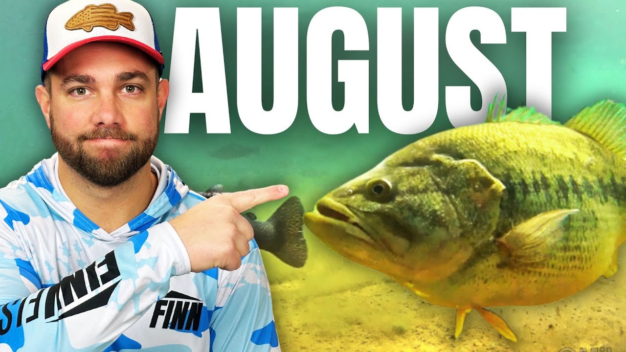 Catch BIG BASS In AUGUST - YouTube
