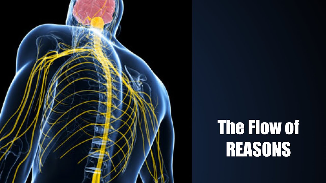 Follow the Flow of Reasons - YouTube