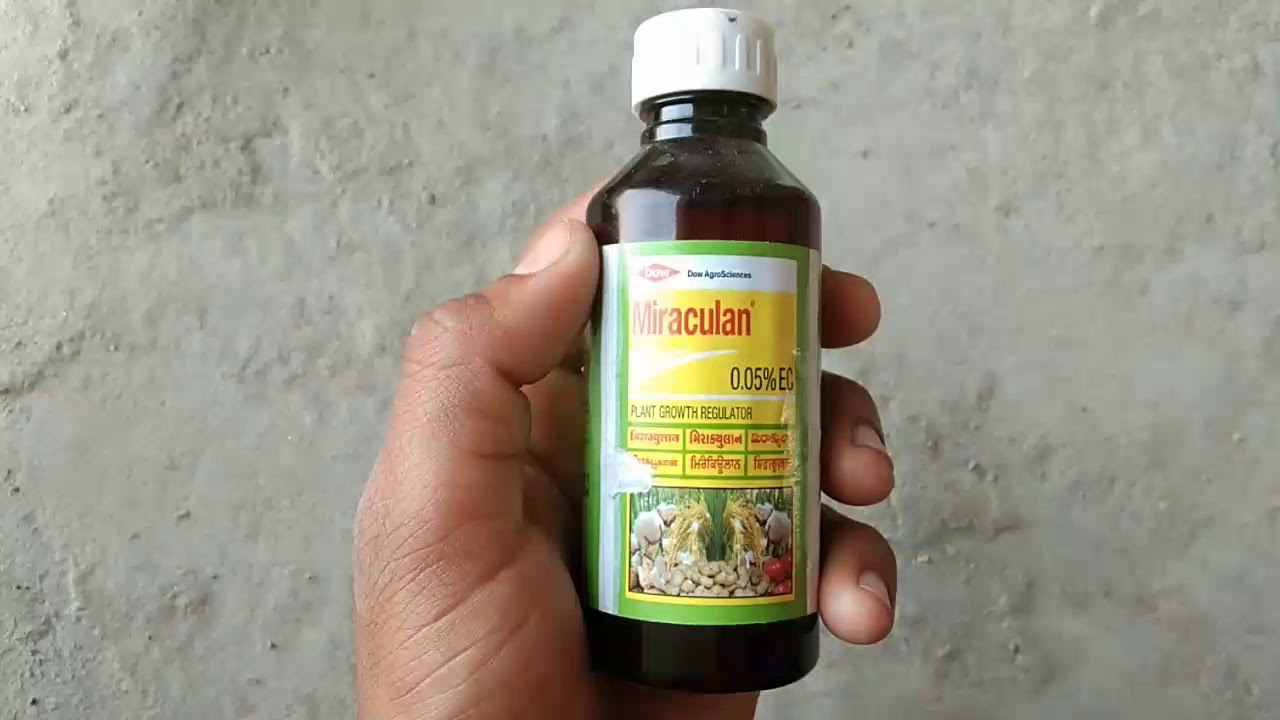 #Miraculan, Triacontanol 0.05% EC, Plant Growth Regulator - YouTube