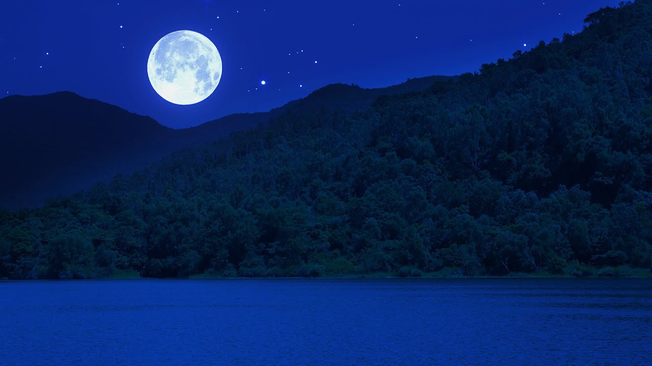 Crickets, Wind & Water Sounds | Calm Night Ambience by the Lake for ...