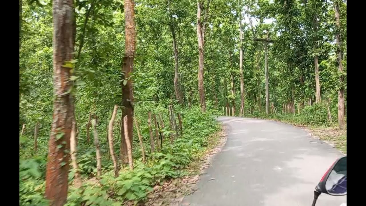 MODHUTILA ECO PARK | মধুটিলা ইকোপার্ক শেরপুর - YouTube