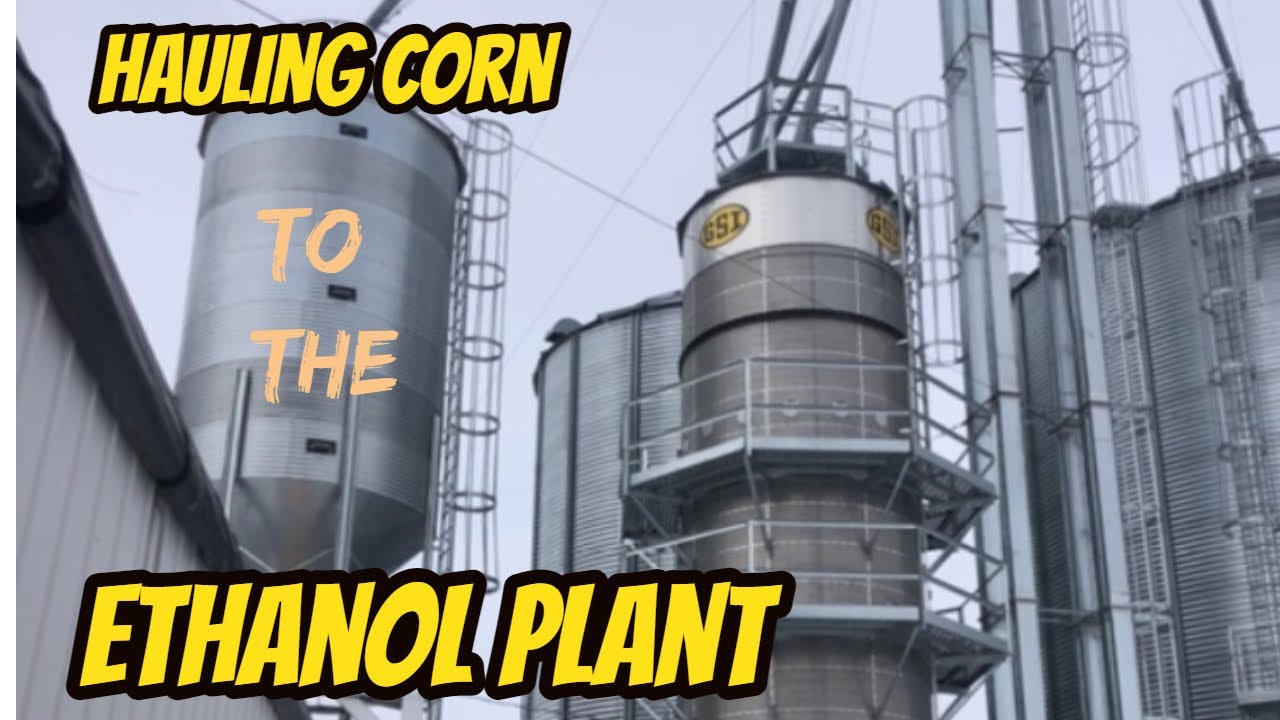 Hauling Corn to the Ethanol Plant - YouTube