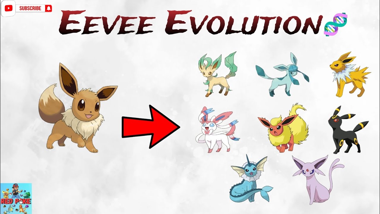 All Eevee Evolution | Pokemon Go | Red Poke | Check discription for ...