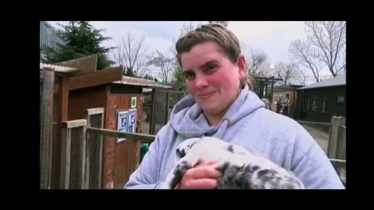 Our amazing farm featured on the news - YouTube