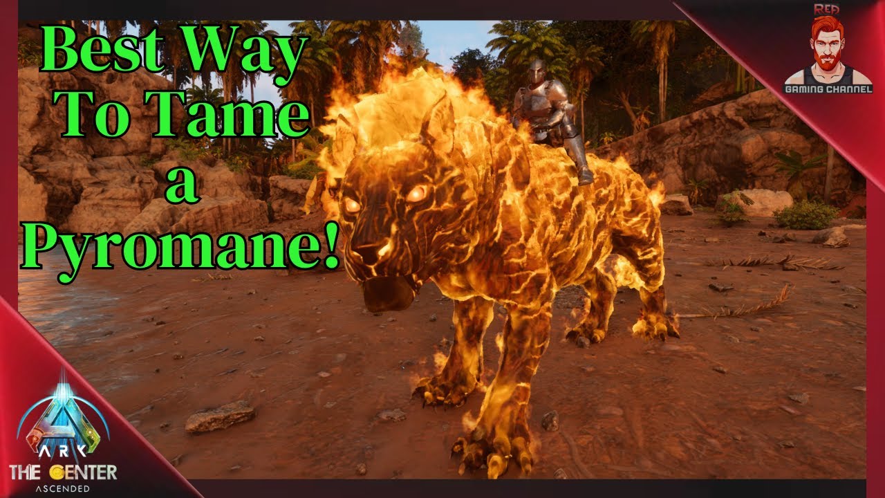 How to tame a Pyromane!- ARK: Survival Ascended / The Center - YouTube
