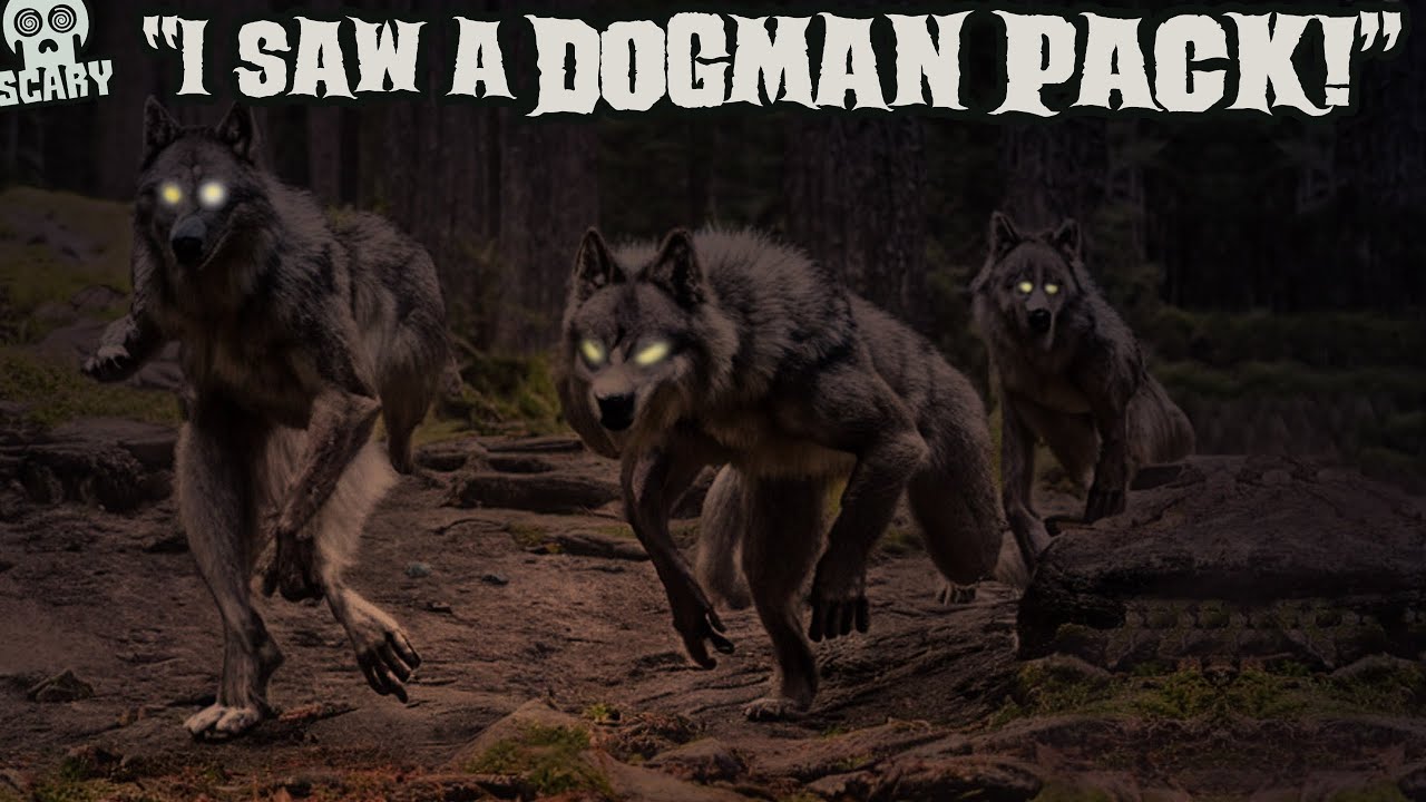 Dogman Vs. Catman! Dogman Pack Sighting! Swamp Monsters Are REAL!(New ...