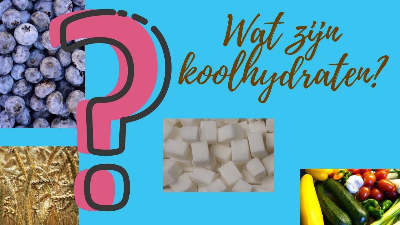 wat zijn koolhydraten? - YouTube
