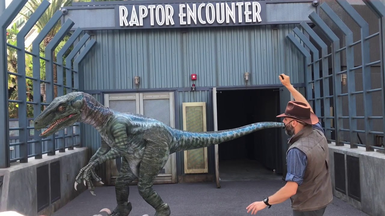Raptor Encounter BLUE and BABY DINOSAURS at Universal Studios Hollywood ...