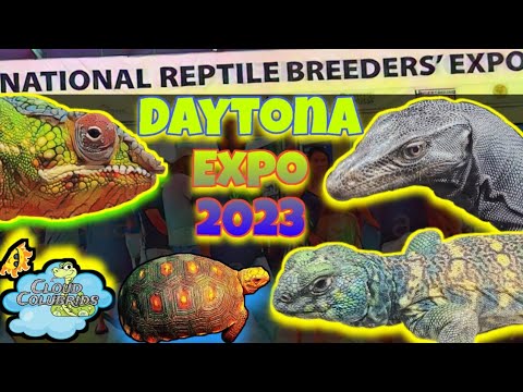 Daytona National Reptile Breeders Expo 2023. Largest Reptile Show ...