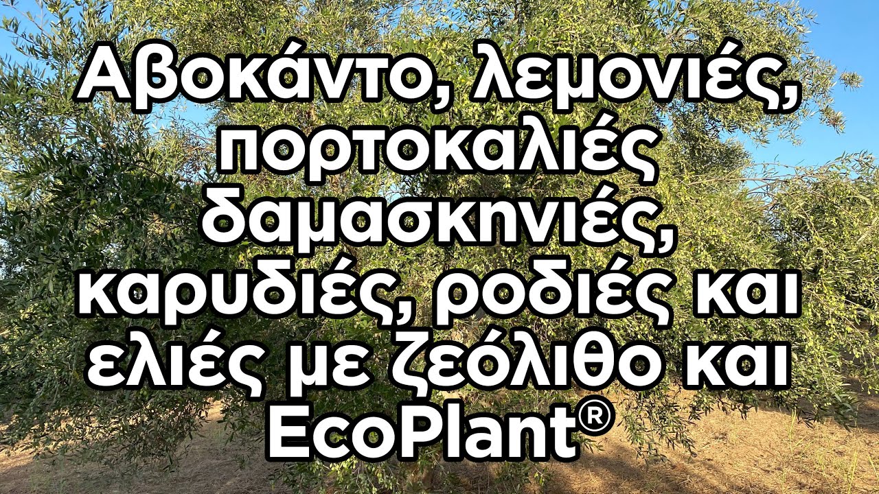 Αβοκάντο, λεμονιές, πορτοκαλιές δαμασκηνιές, καρυδιές, ροδιές και ελιές ...