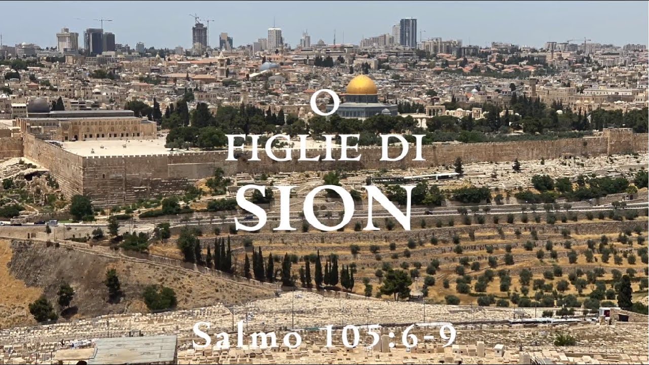 Sion - Zion (Cover) - YouTube