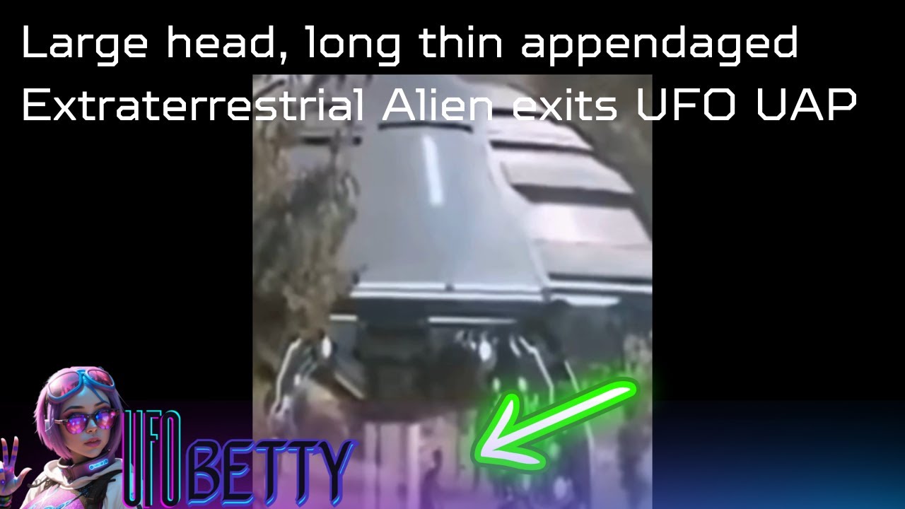 Extraterrestrial Alien with thin, long arms and legs, & large head ...