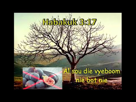 Al sou die vye boom nie bot nie (Lied)