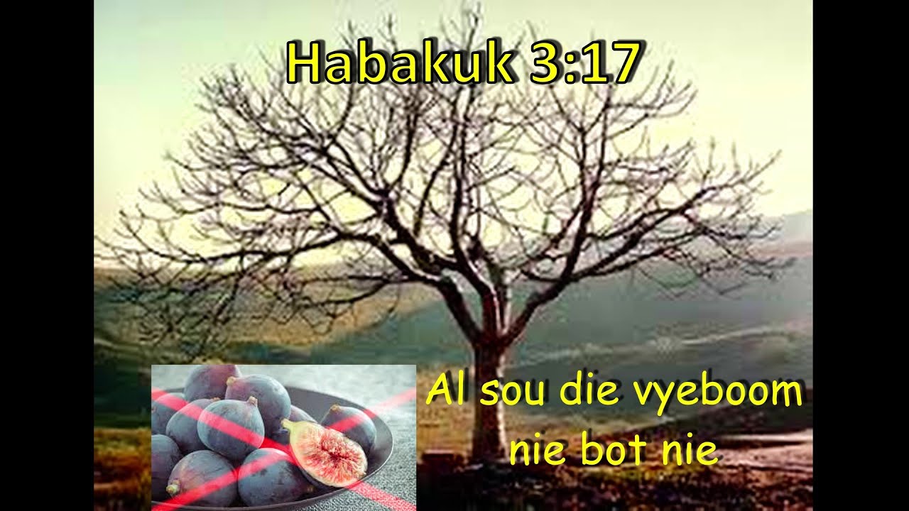 Al sou die vye boom nie bot nie (Lied) - YouTube