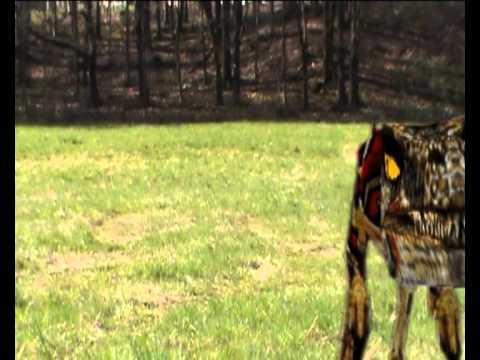 Trespasser: Curious Raptor - YouTube