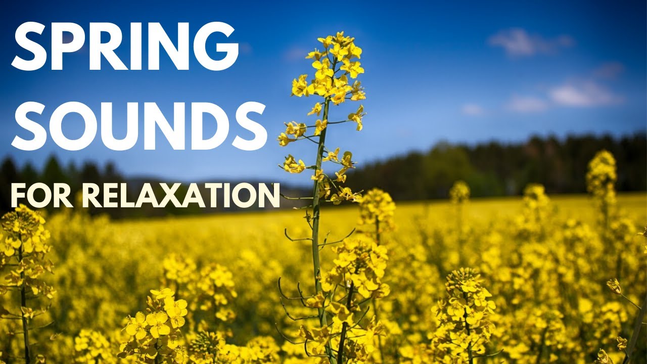 PEACEFUL SPRING SOUNDS FOR RELAXATION, Background Nature, study, sleep ...