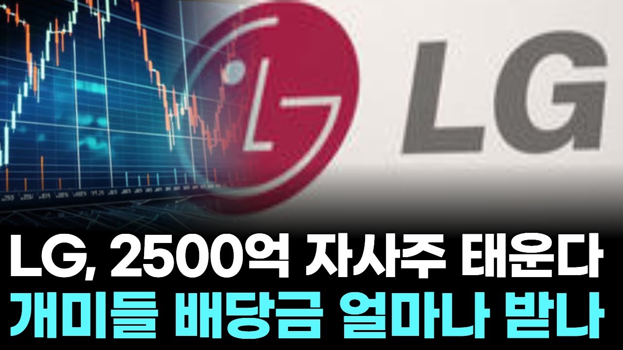 LG, 2500억 자사주 태운다…개미들 배당금 얼마나 받나 - YouTube