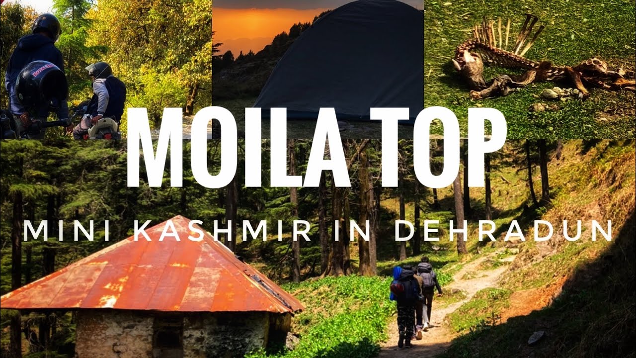 Moila Top, Mini Kashmir in Dehradun #dehradun #dehradunlove # ...