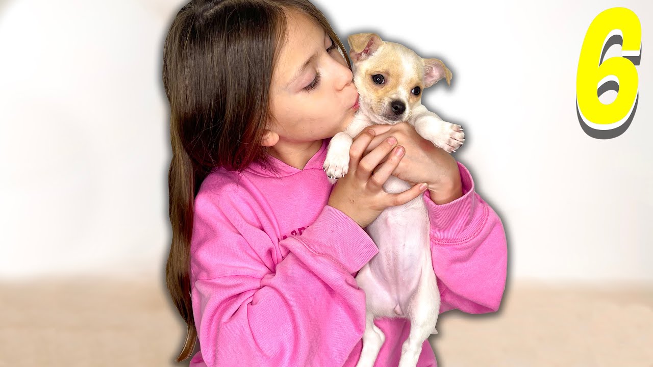 RESCATAMOS AL PERRITO NUEVO DE CHLOE - YouTube