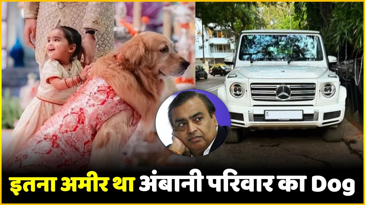 इतना अमीर था Ambani Family का Dog | Ambani Pet Dog Luxury Car And ...
