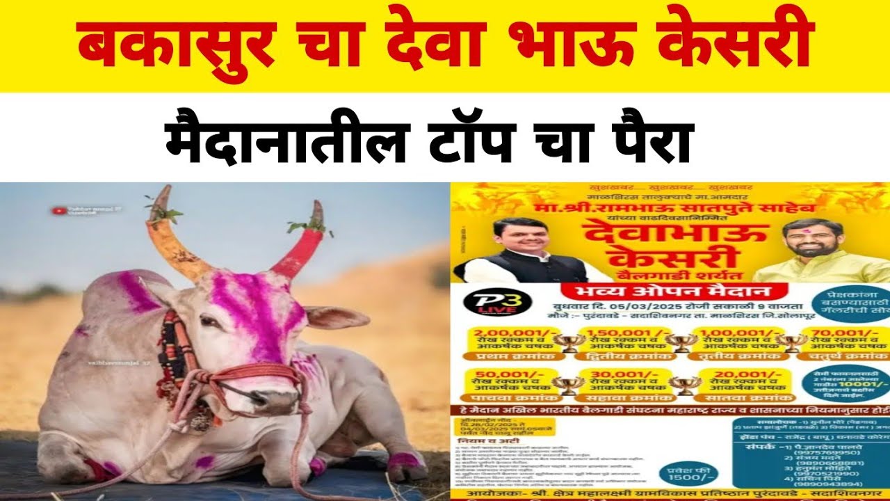 बकासुर चा देवा भाऊ केसरी मैदानातील टॉप चा पैरा फिक्स 1 नंबर होनार # ...