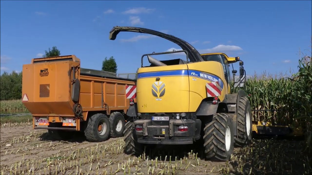 Lavens Joël mais hakselen 2020 (1) , New Holland FR 700 en FR 9080 ...