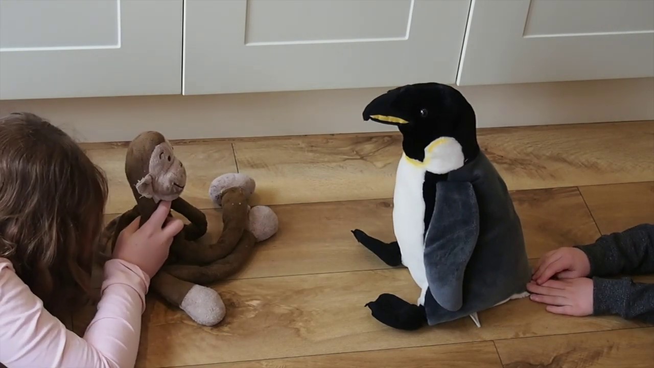 Monkeys and Penguins (at war) - YouTube