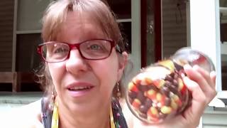Can I Grow CANDY CORN????