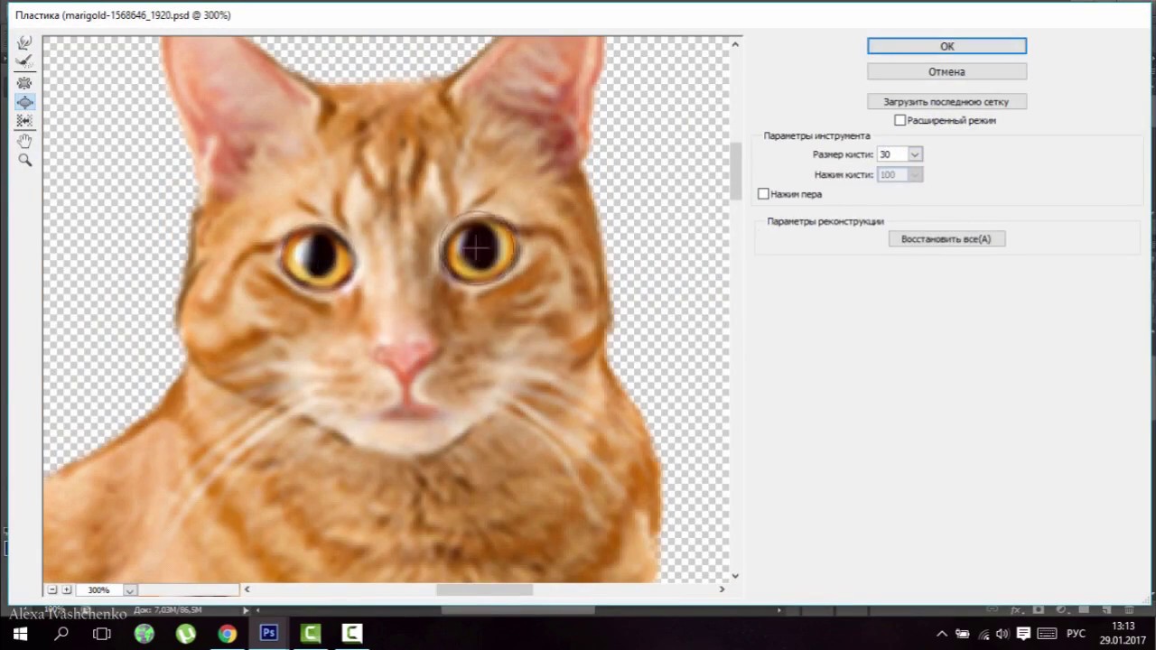 Magic cat – photo manipulation – Photoshop cs6 - YouTube