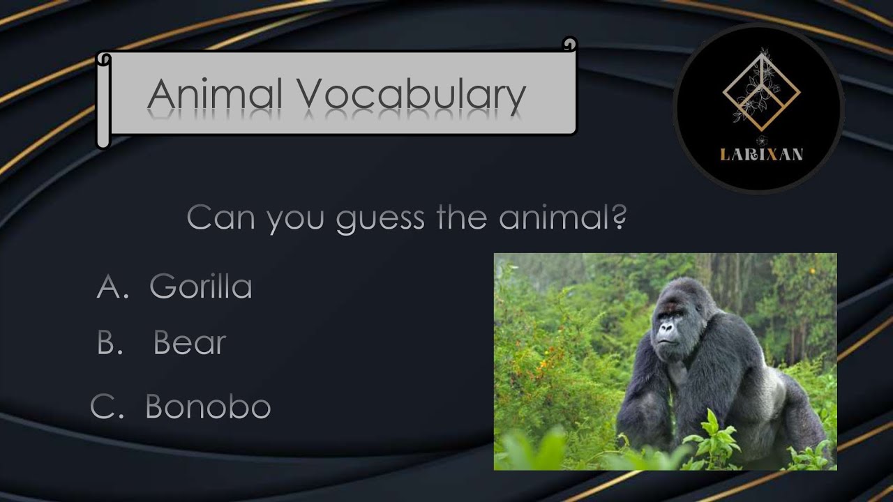 ANIMAL VOCABULARY 2 | QUIZ | TRIVIA QUESTIONS | CURIOUS QUESTIONS ...